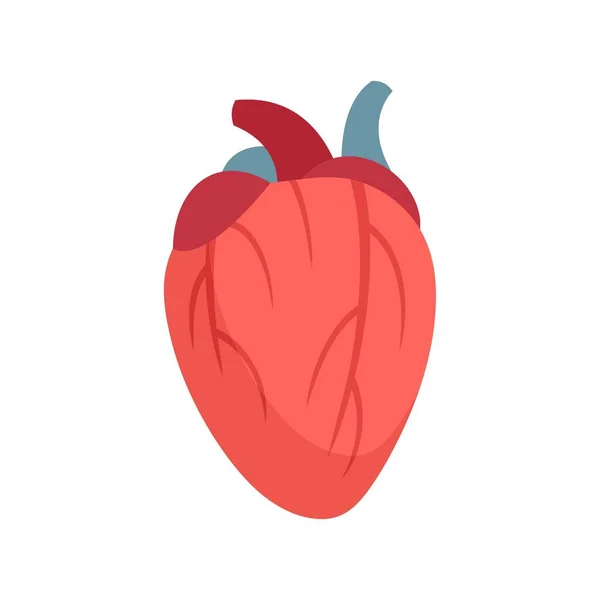 Muscle human heart icon, simple style Stock Vector by ©anatolir 397830454