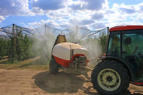 Spraying Apple Orchard Protect Disease Insects Apple Fruit Tree ...