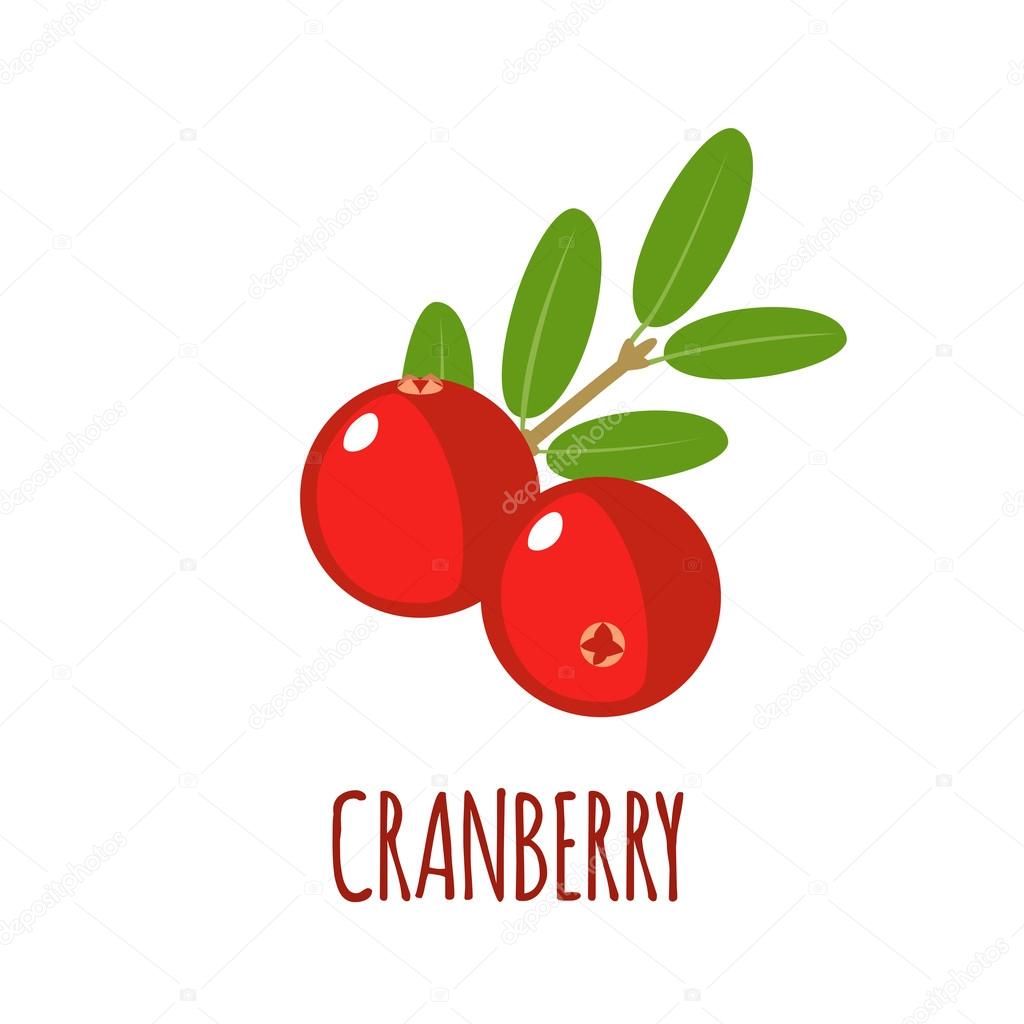 Cranberry icon in flat style on white background Stock Vector Image by ...