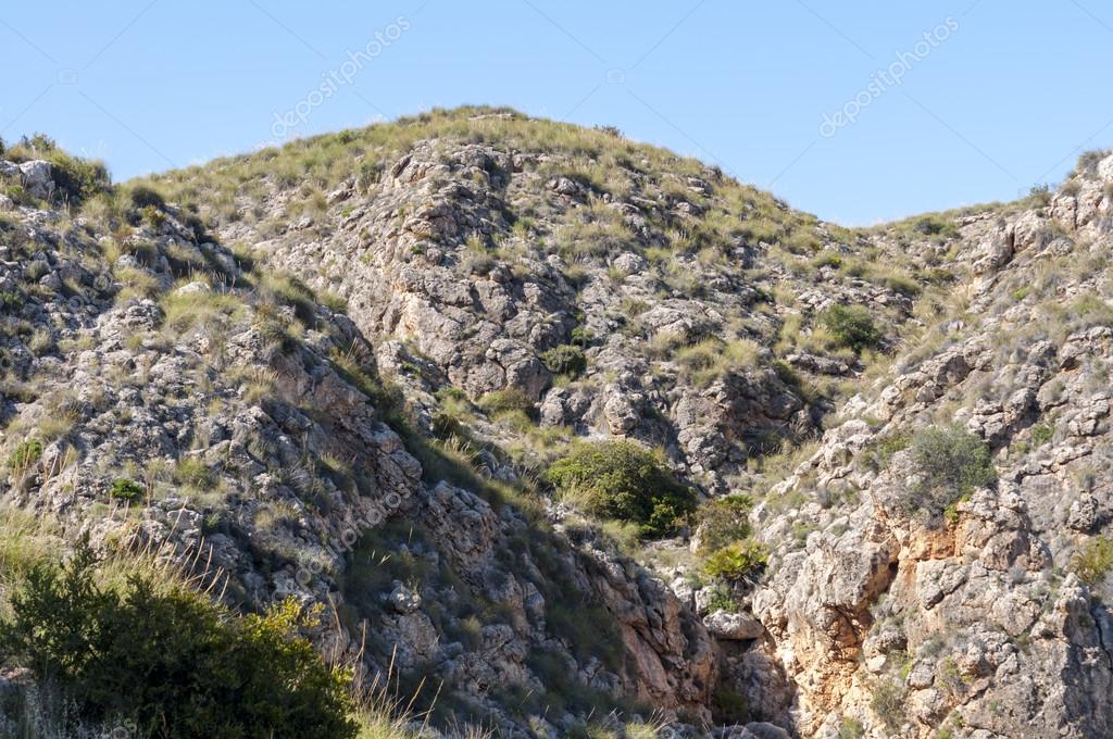 Steppe of Alpha grass, Stipa tenacissima — Stock Photo © ihervas #82308756