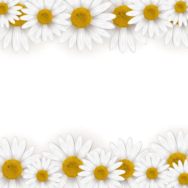 8,993 Daisy frame Vector Images | Depositphotos