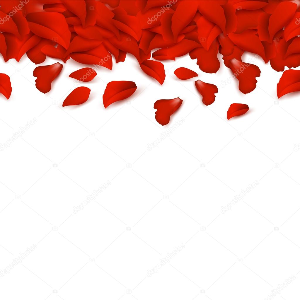 Border of rose petals Stock Vector Image by ©gabylya89 #65848935