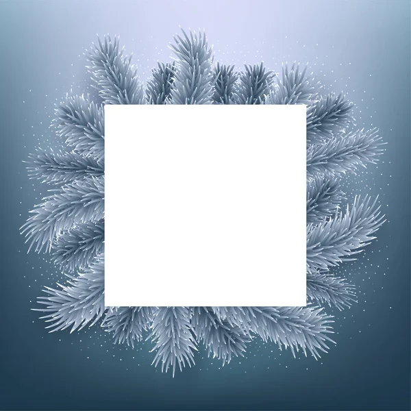 Silver fir tree Vector Images | Depositphotos