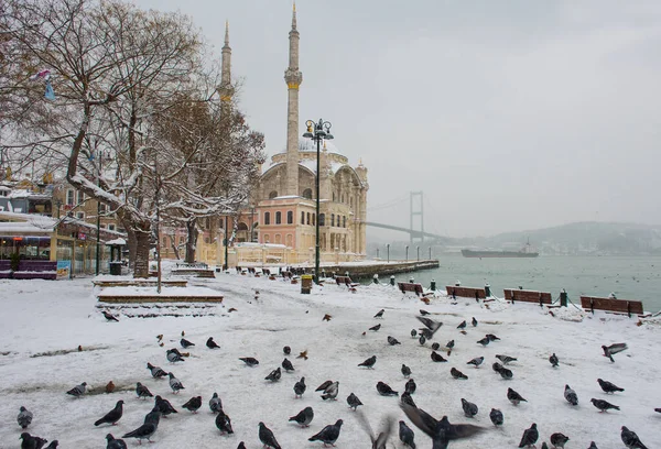 Istanbul en hiver Stock Photos, Royalty Free Istanbul en hiver Images ...