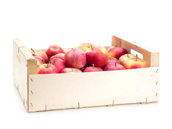 Fresh apples in carton container — Stock Photo © spaxiax #1532381