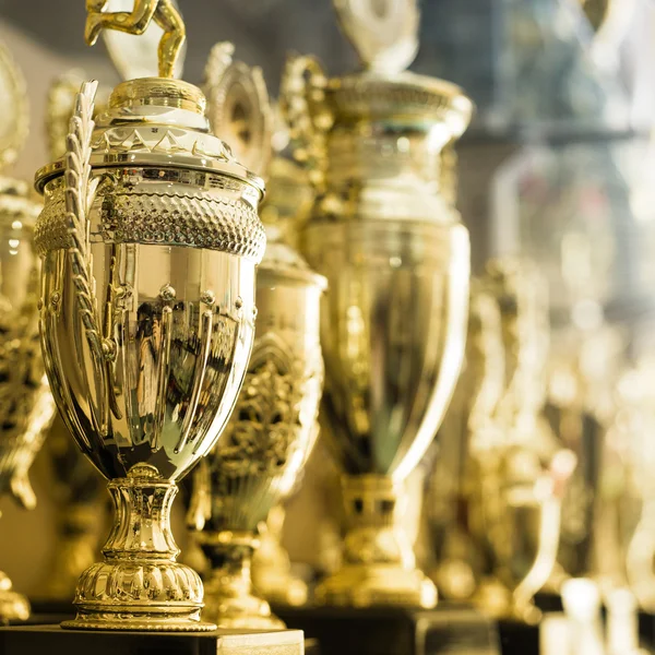 Equipo Empresarios Sosteniendo Trofeo Premio Para Mostrar Victoria ...