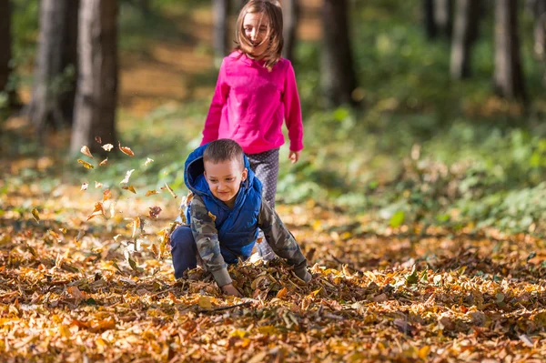 Kids playing woods Stock Photos, Royalty Free Kids playing woods Images ...