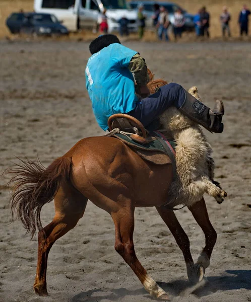 Donkey carry Stock Photos, Royalty Free Donkey carry Images | Depositphotos