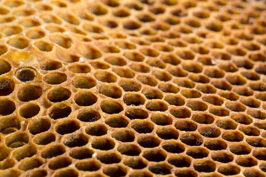 Old dark brood comb background — Stock Photo © Meisterphotos #115040144