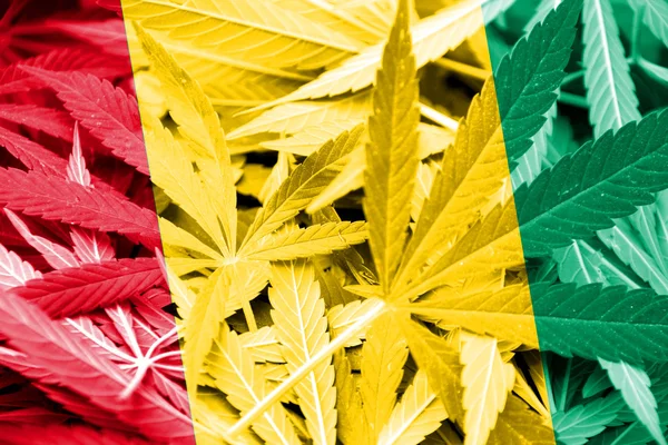 Colombia Flag on cannabis background. Drug policy. Legalization of ...