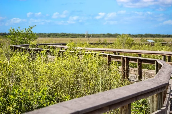 Everglades structures Stock Photos, Royalty Free Everglades structures ...