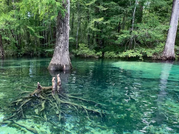 Blue spring state park Stock Photos, Royalty Free Blue spring state ...