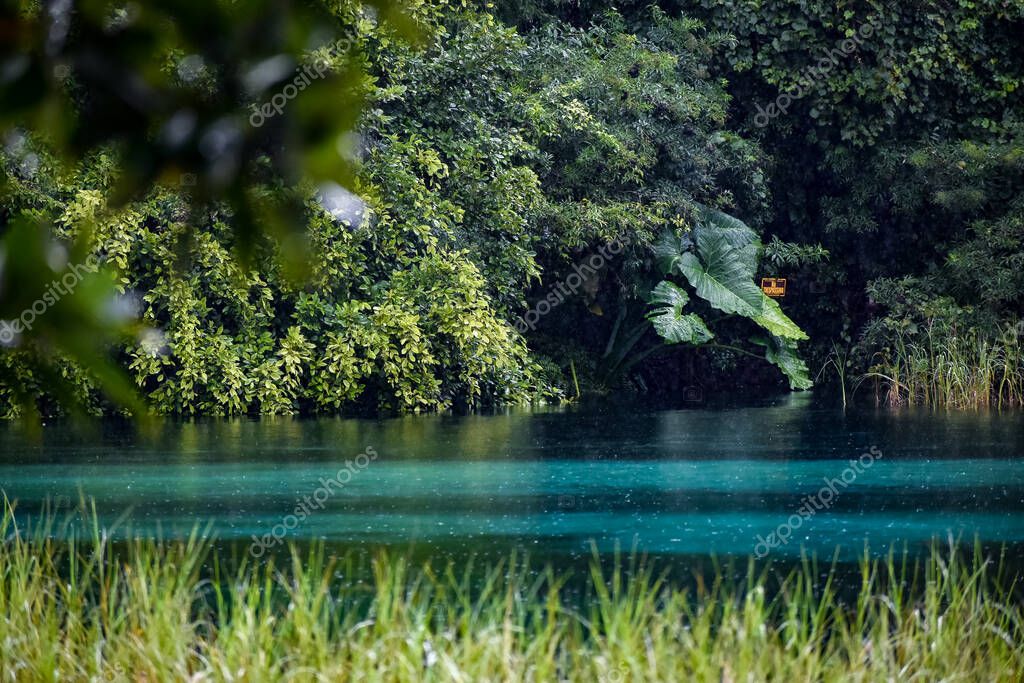 Aguas turquesas de los manantiales de agua dulce de Florida durante una ...