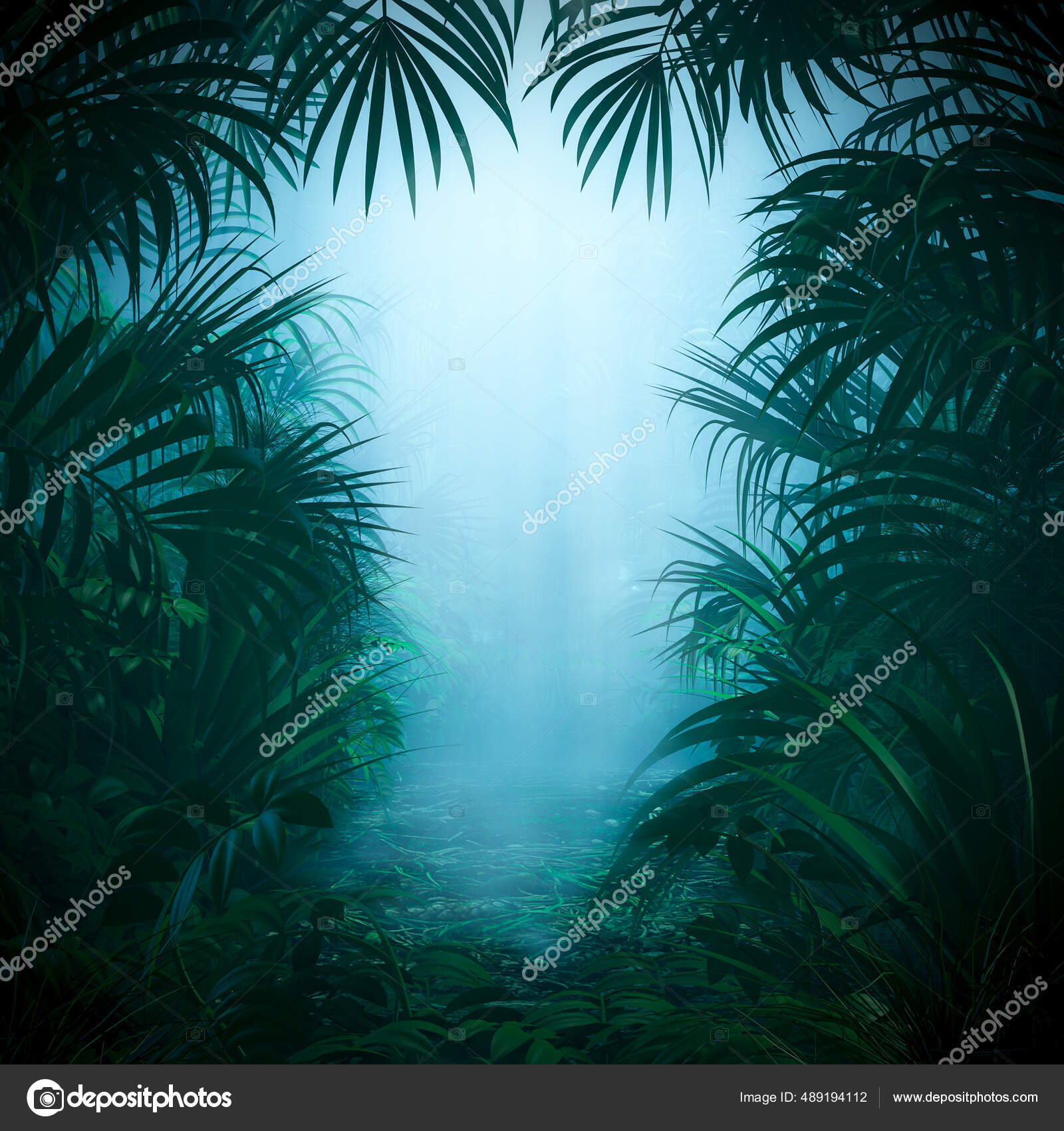 Misty Jungle Nature Frame Illustration Mysterious Rainforest Background ...
