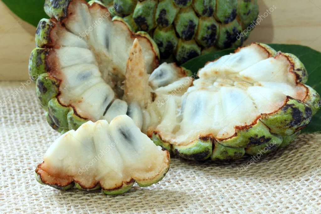 Annona squamosa fruta también conocida como "Pinha" o "Fruta do Conde ...