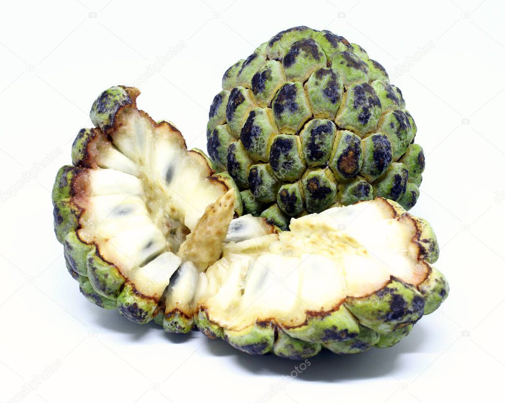 Annona squamosa fruta también conocida como "Pinha" o "Fruta do Conde ...