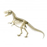 T rex dinosaurs bones negative space silhouette illustrations set Stock Vector Image by ...