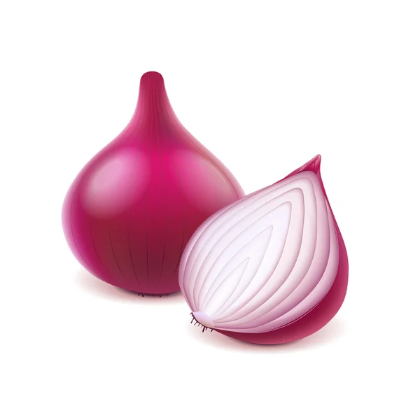 Symbol cebuli Vector Art Stock Images | Depositphotos