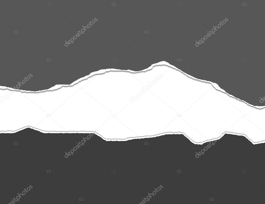 Ilustración vectorial. Papel roto. Trozos rasgados 2024