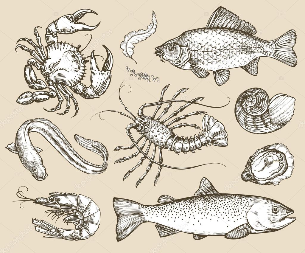 Dibujo dibujado a mano conjunto de mariscos. Ilustración vectorial 2022