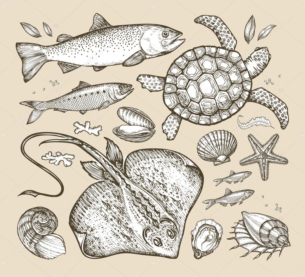 Sea animals. hand-drawn sketches fish, trout, herring, turtle, stingray ...