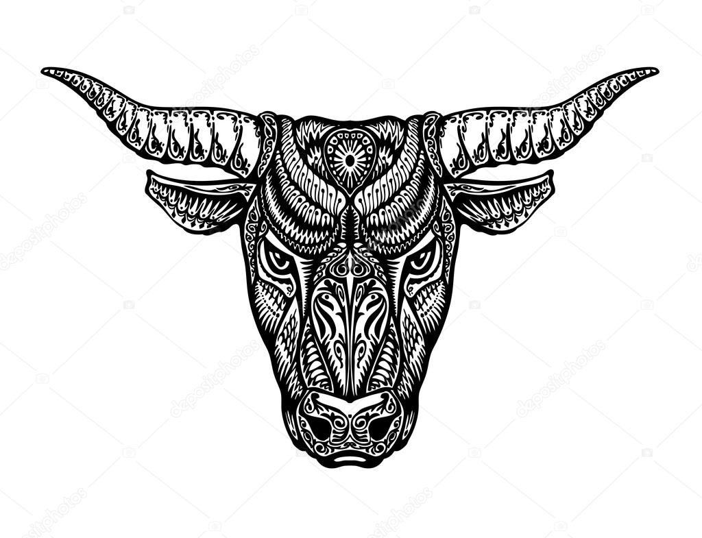 Minotaur Head Sketch