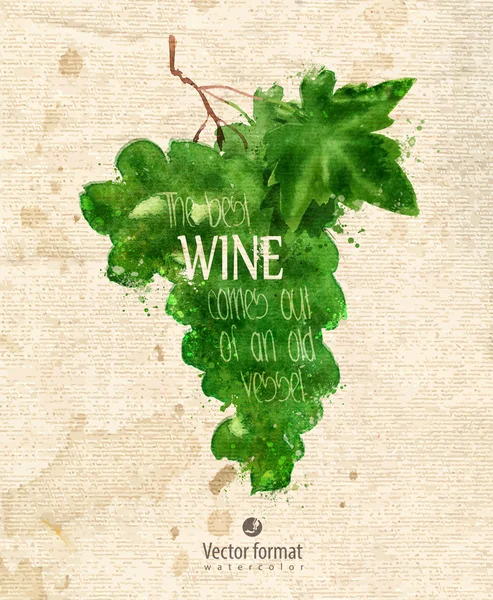 Viña de vino Vector Art Stock Images | Depositphotos
