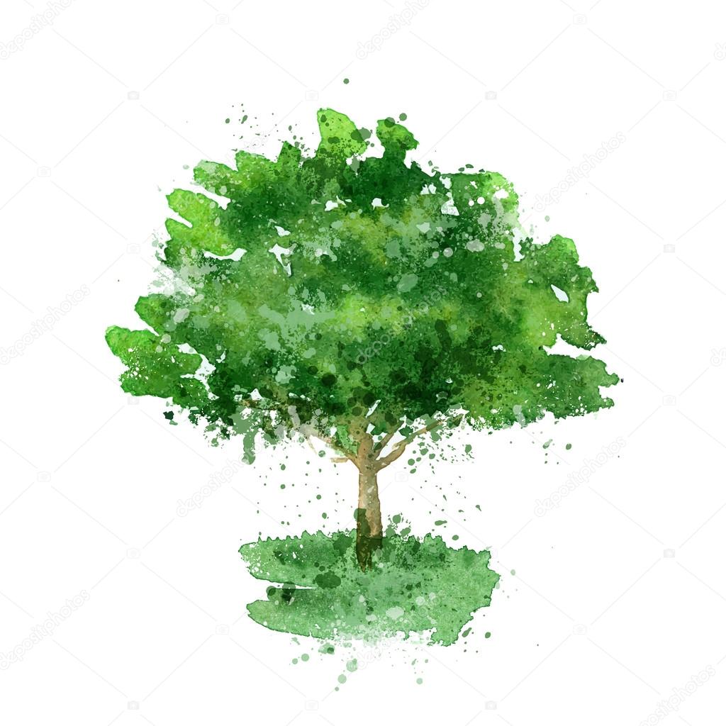 rbol. Formato vectorial 2024