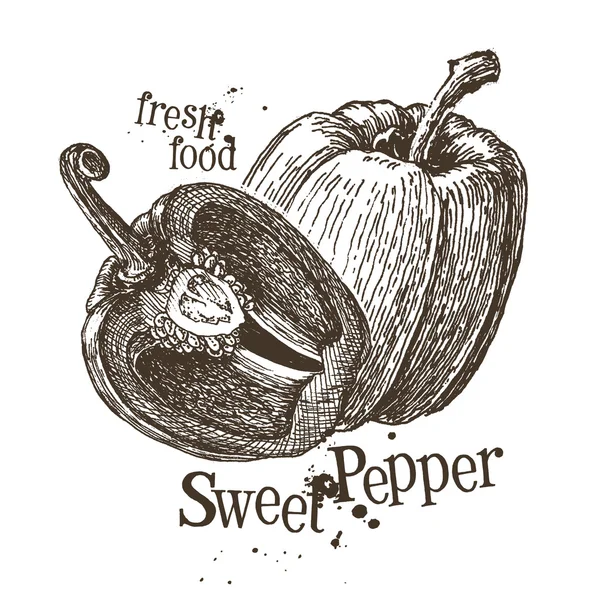 Chili pepper logo design template Stock Vector by ©sergeypykhonin 70530169