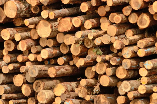 Log processing Stock Photos, Royalty Free Log processing Images ...