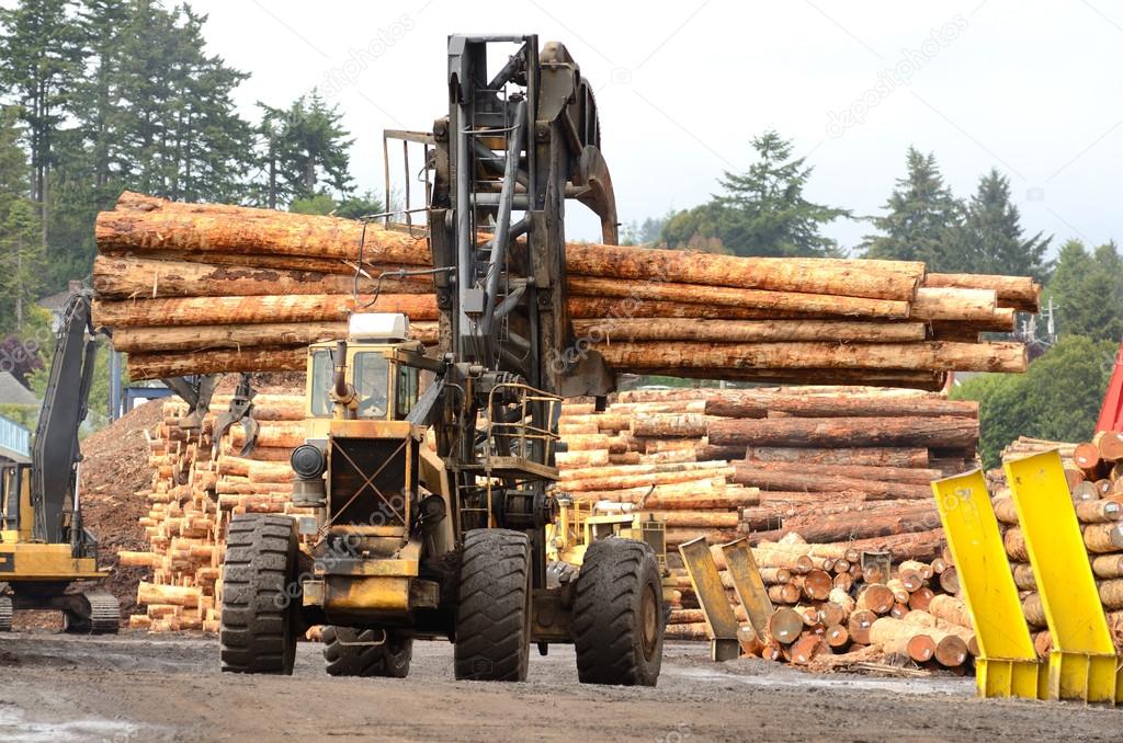 Log Yard Stock Photo by ©dpfoxfoto 56537973