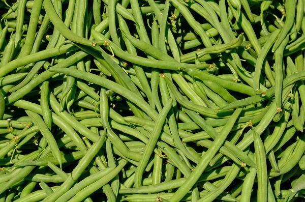 Green bean field Stock Photos, Royalty Free Green bean field Images ...