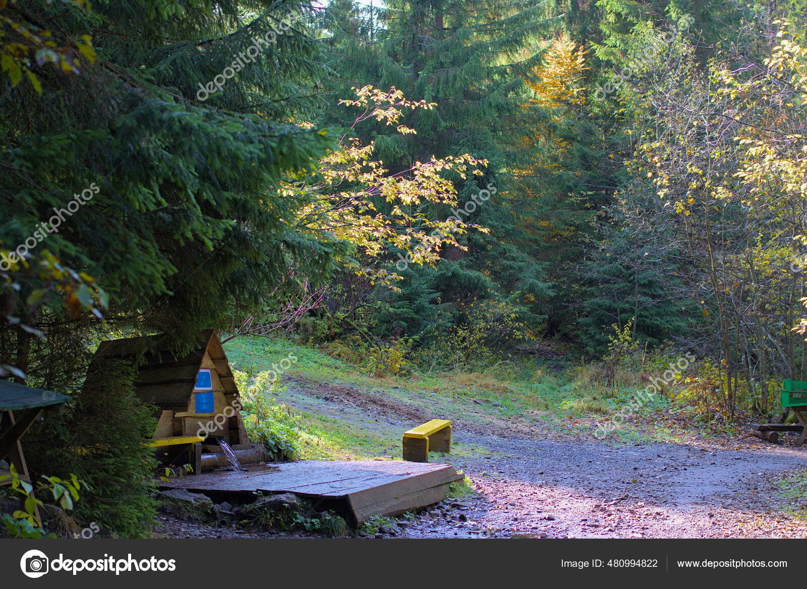 Clean Cold Spring Water Flows Mountains Equipped Source Form Wooden ...