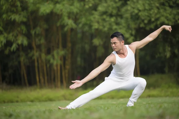 Tai chi people Stock Photos, Royalty Free Tai chi people Images ...