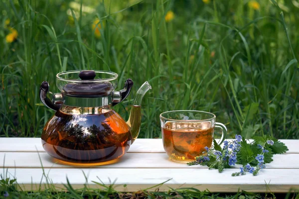 Tea with herbs in nature ⬇ Stock Photo, Image by © kozorog #111089242