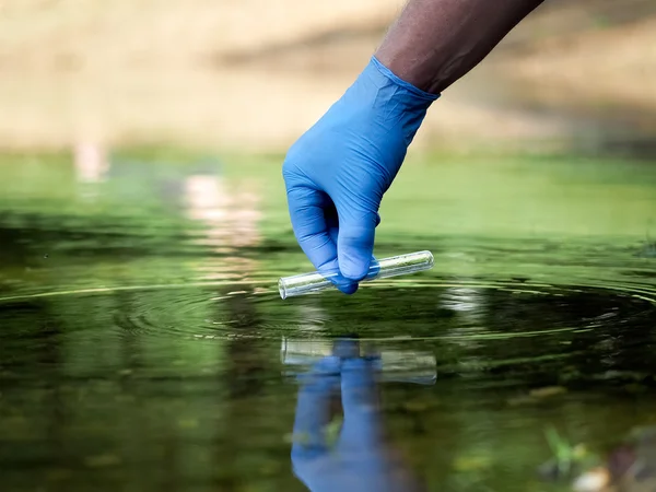 Hand in glove collects water in a test tube - Stock Image - Everypixel
