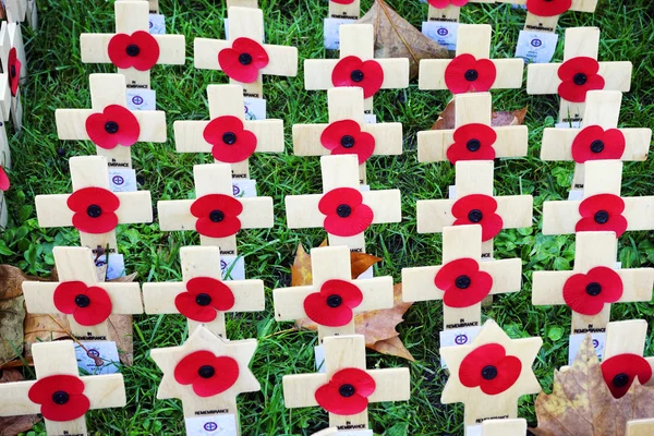 22 Remembrance day display Stock Illustrations | Depositphotos