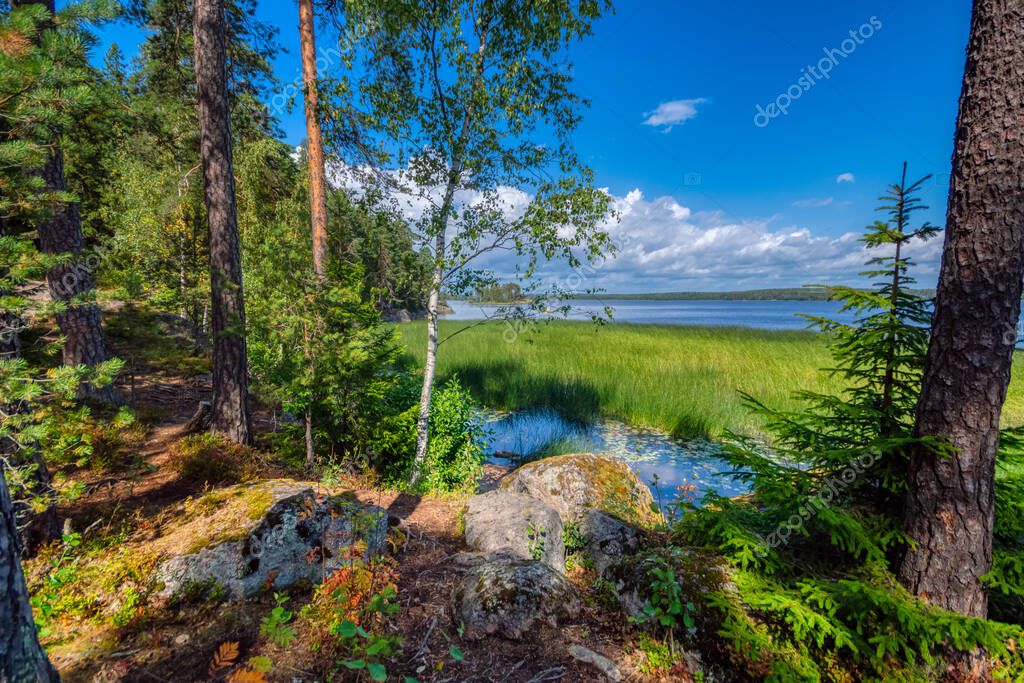 Parque Monrepos en un cálido día de verano. Museo-reserva con sus rutas ...