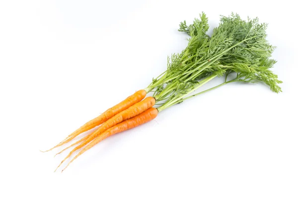 Fondo blanco vegetal fotos de stock, imágenes de Fondo blanco vegetal ...