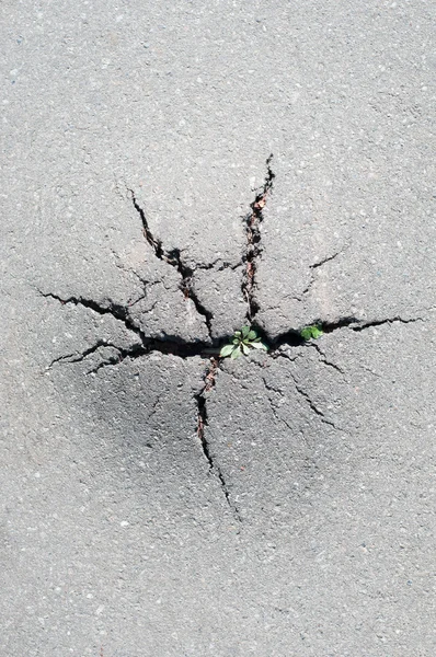 Small crack Stock Photos, Royalty Free Small crack Images | Depositphotos