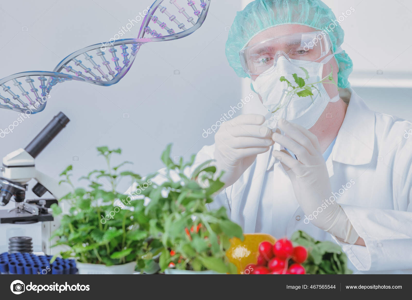 Investigador Con Plantas Transgénicas Organismo Modificado ...