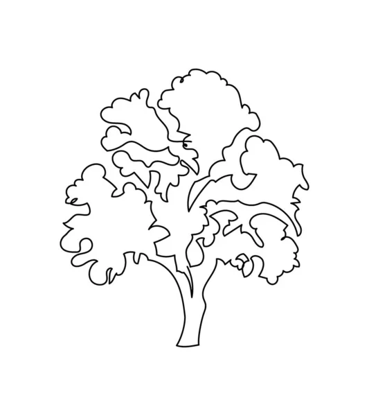 Tree Drawing Outline