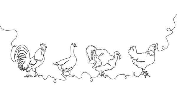 Chickens line drawing Stock Photos, Royalty Free Chickens line drawing ...
