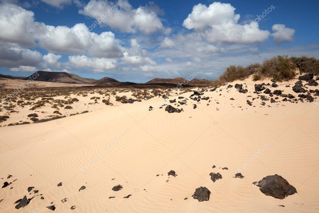 Dunas errantes El Jable, Las Dunas de Corralejo, parte sur de? ? el ...