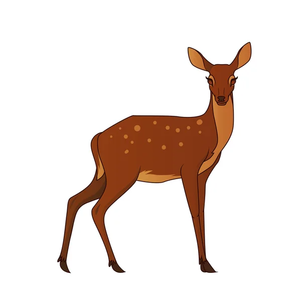 Female Deer Clipart