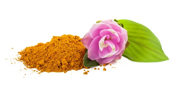 Fotos de Curcuma flower, Imagens de Curcuma flower sem royalties ...