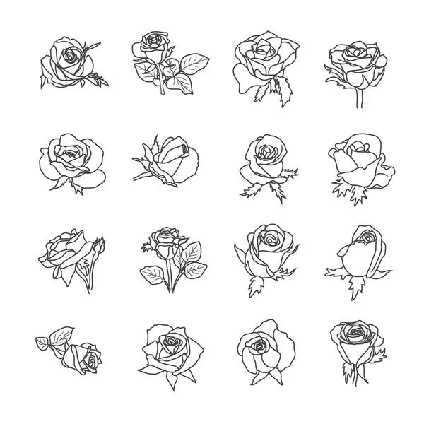 Set of rose symbols Stock Vector Image by ©Boykung #70622177