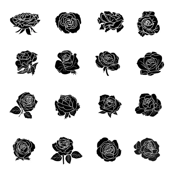 Set of rose symbols Stock Vector Image by ©Boykung #70622177