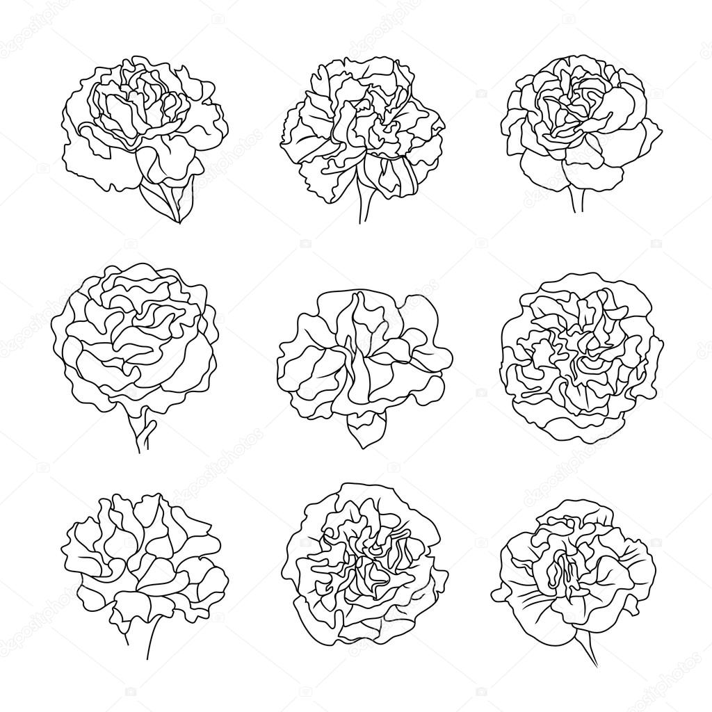 카네이션 꽃 아이콘 스톡 벡터 - ©Boykung 70622129