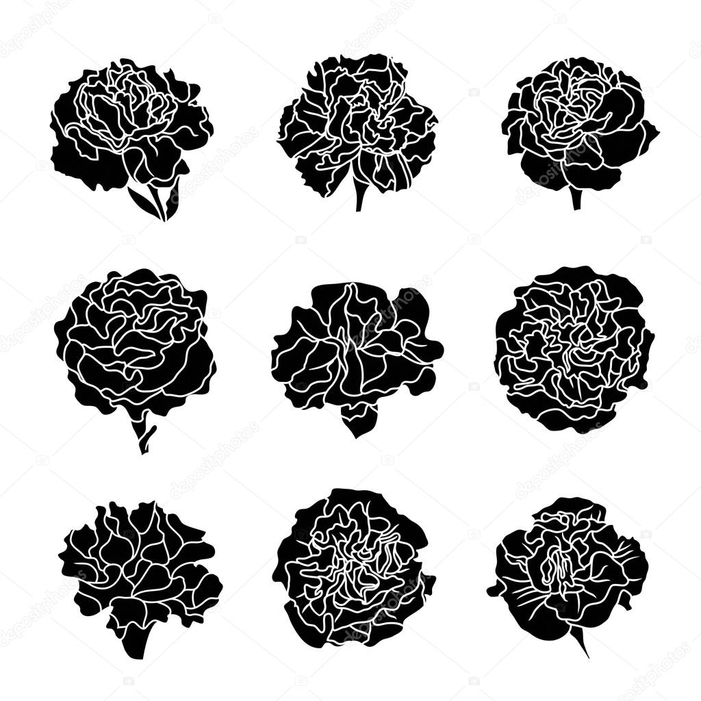 Carnation flower icons Stock Vector Image by ©Boykung #70622137